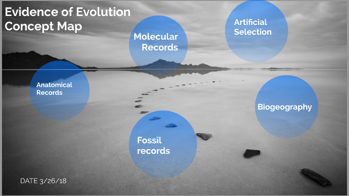 Evidence of Evolution Concept Map by Danny Chapa on Prezi