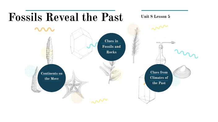 Fossils Reveal the Past by Heidi Oechsel on Prezi