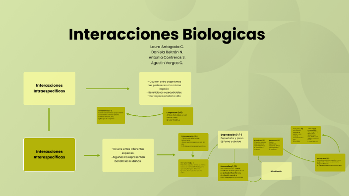 Interacciones Biológicas by Laura Arriagada Castillo on Prezi
