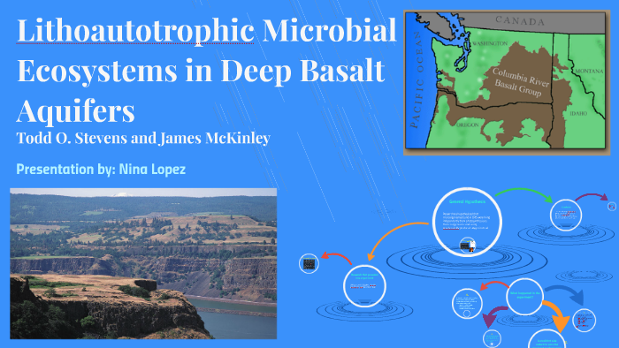 Lithoautotrophic Microbial Ecosystems in Deep Basalt Aquifer by Nina ...