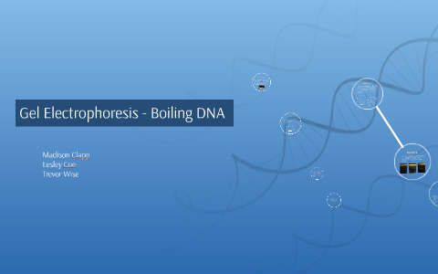 Gel Electrophoresis - Boiling DNA by Trevor Wise