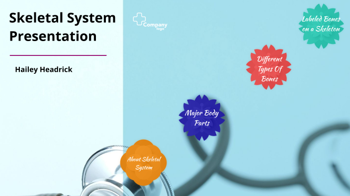 Skeletal System Presentation by Hailey Headrick on Prezi