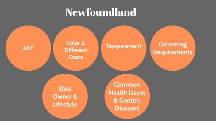 Breed Project by Jayden Darr on Prezi