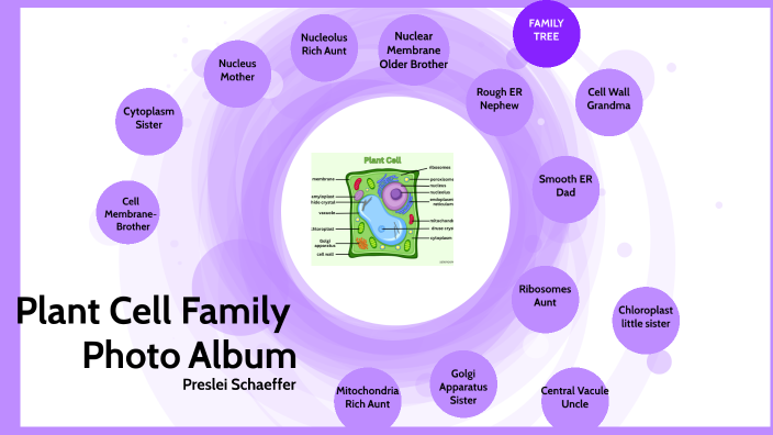 Cell Family Photo Album by preslei schaeffer on Prezi