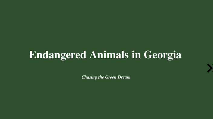 Endangered Animals in Georgia by Sarah Griffin on Prezi