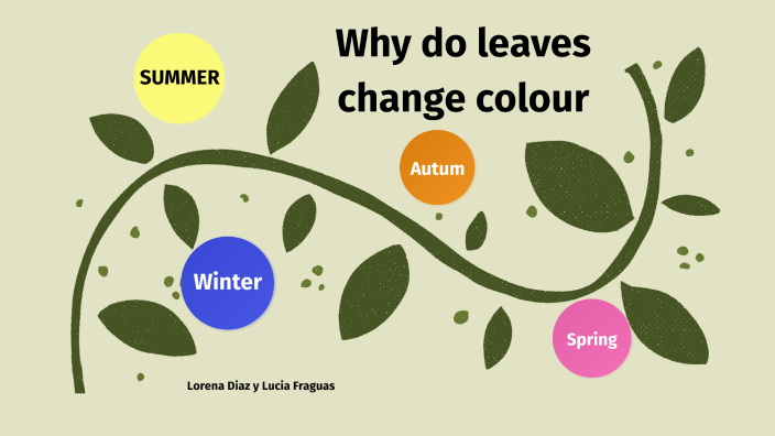 why do the leaves color change by Lorena Díaz Sánchez on Prezi