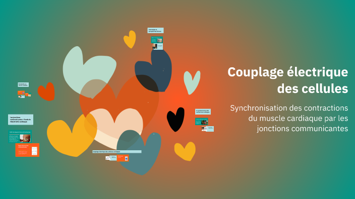 Couplage électrique des cellules by anatole mutschler on Prezi