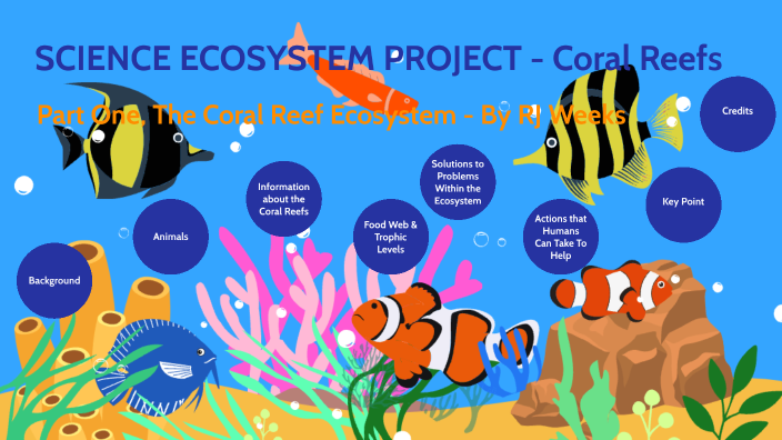 SCIENCE ECOSYSTEM PROJECT by Richard Weeks on Prezi