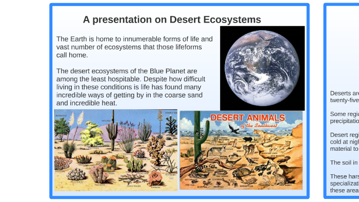 A presentation on Desert Ecosystems by J. B. on Prezi