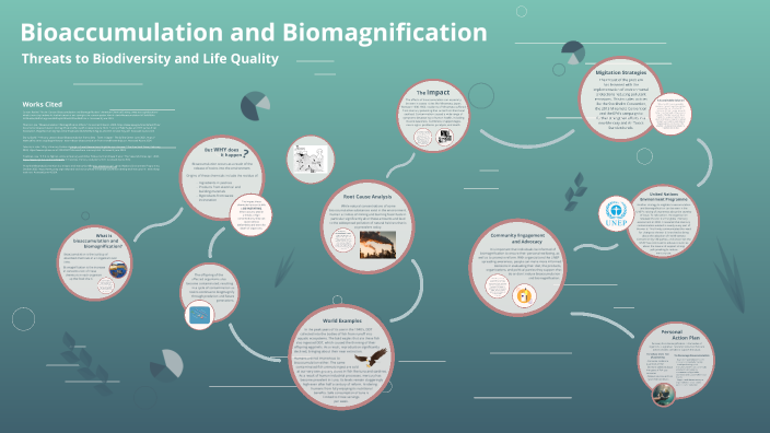 The Dangers of Bioaccumulation and Biomagnification by Nia Pogue on Prezi