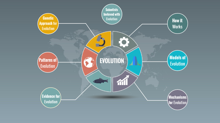 Evolution Brain Map by Karmin Dhindsa on Prezi