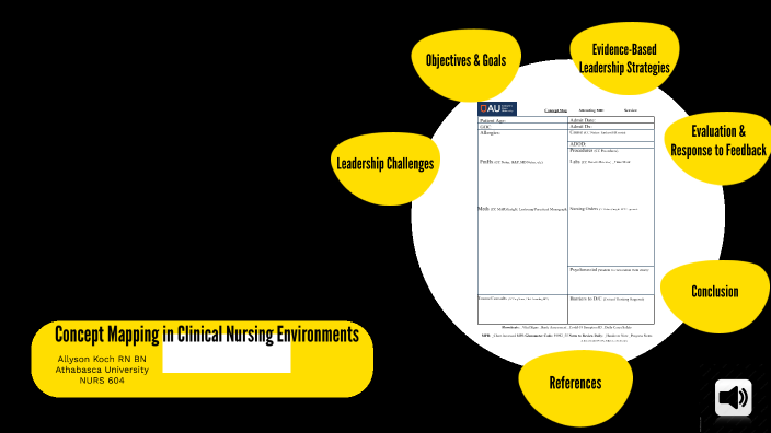 Nurs 604: Presentation on Leadership Strategies by Allyson Koch on Prezi