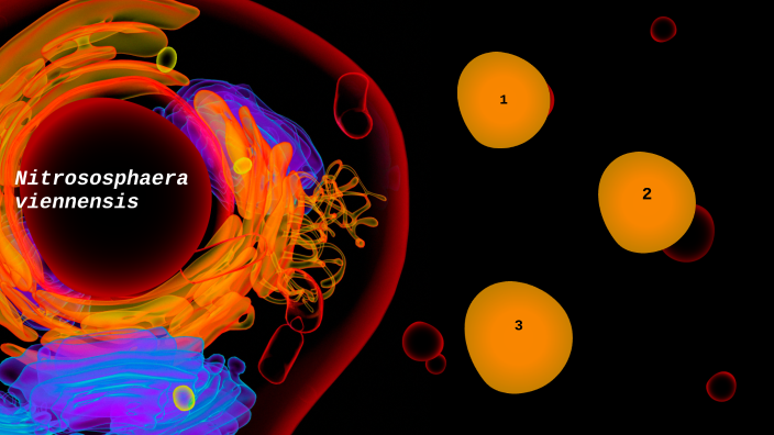 Nitrososphaera viennensis by Kike De la Rosa on Prezi
