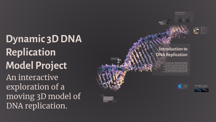 Dynamic 3D DNA Replication Model Project by Valeria Castro on Prezi