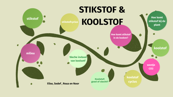 biologie stikstof-koolstof by noor Ehlali on Prezi
