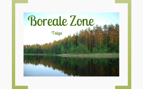 Boreale Zone by Martin Dam on Prezi