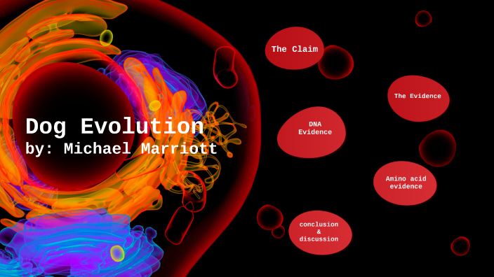 Dog Evolution Presentation - Michael by Michael Marriott on Prezi