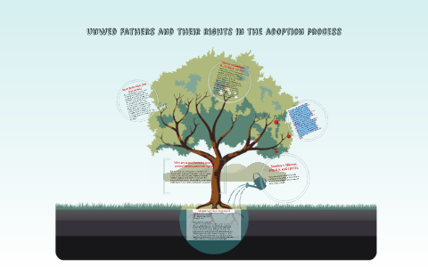 Unwed Fathers and their rights in the adoption process by Shiri Svenman ...