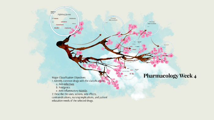 Antiinfectives by Jennifer Hurlbert on Prezi