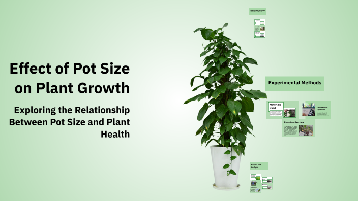 Effect of Pot Size on Plant Growth by James Edwards on Prezi