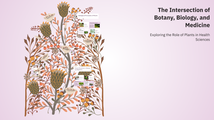 The Intersection of Botany, Biology, and Medicine by Аяулым Нурселинова ...
