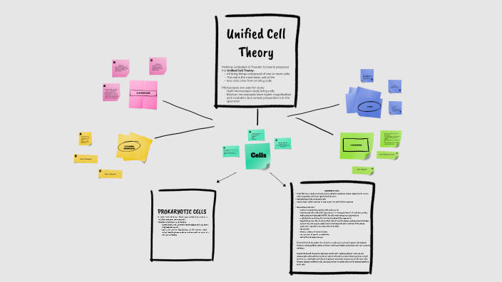Unified Cell Theory by Tommy Venus on Prezi