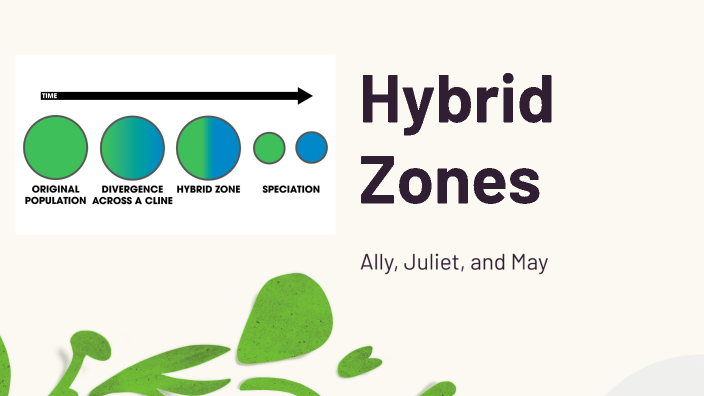 Hybrid Zones by may frelinghuysen on Prezi