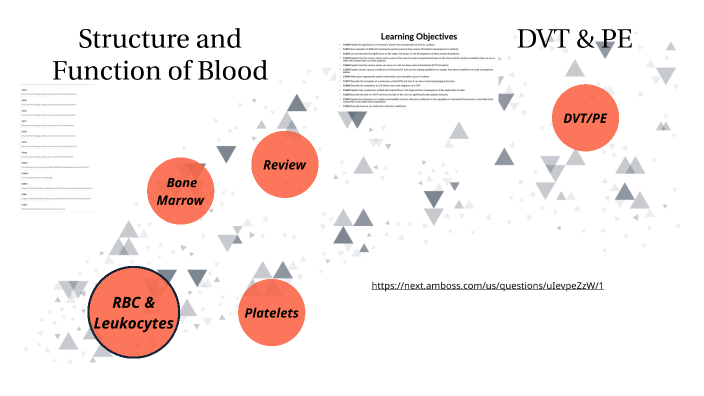 Structure and Function of Blood by Nisha Anbu on Prezi