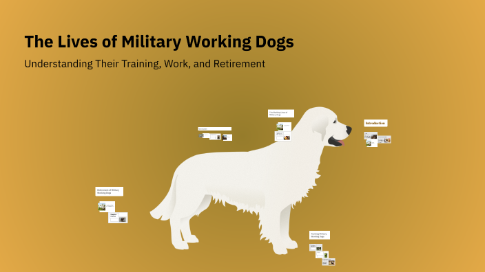 The Lives of Military Working Dogs by Edward Medrano on Prezi