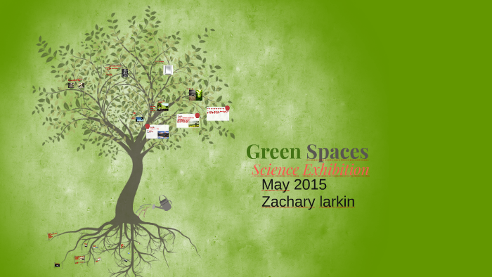 Green Spaces Exhibition by Zachary Larkin