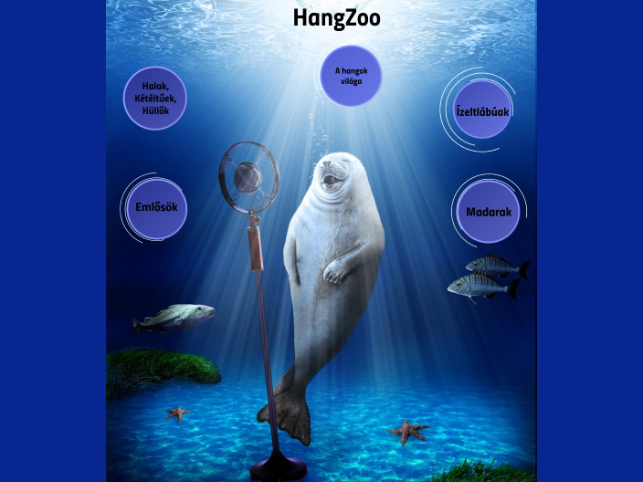Hangzoo by Gabriella Kiss on Prezi