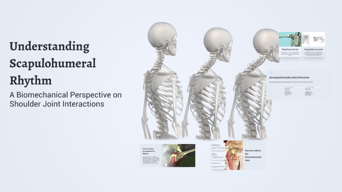 Understanding Scapulohumeral Rhythm by rania ahmed on Prezi