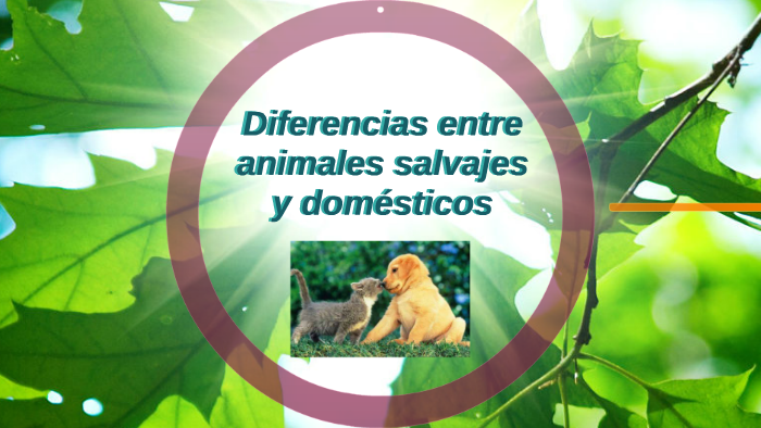 Diferencias entre animales salvajes y domésticos by Carlos Ferrer on Prezi