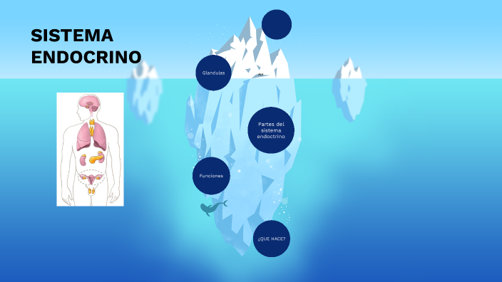 Sistema Endoctrino by Lenin Joel on Prezi