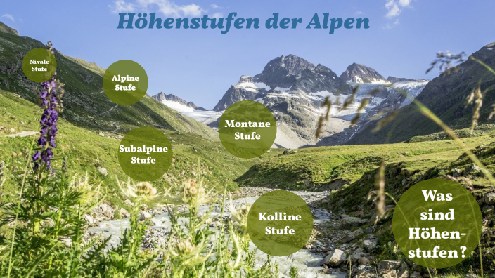 Höhenstufen der Alpen by Jamila Goetz on Prezi