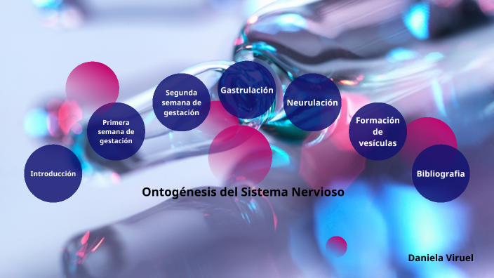 Ontogénesis del Sistema Nervioso by Alexis Gutierrez Rodriguez on Prezi