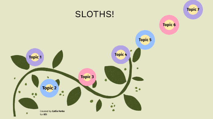 SLOTHS by Callie Ferko on Prezi