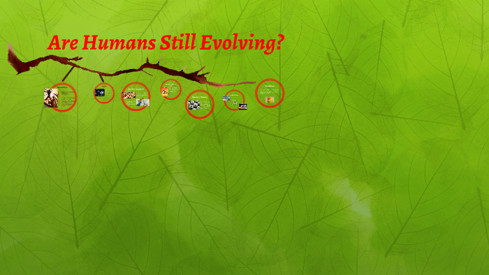 Are Humans Still Evolving? by a tran on Prezi Next