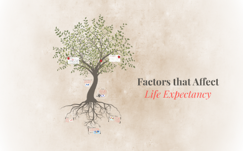 Factors that Affect Life Expectancy by Ian Wiggs on Prezi