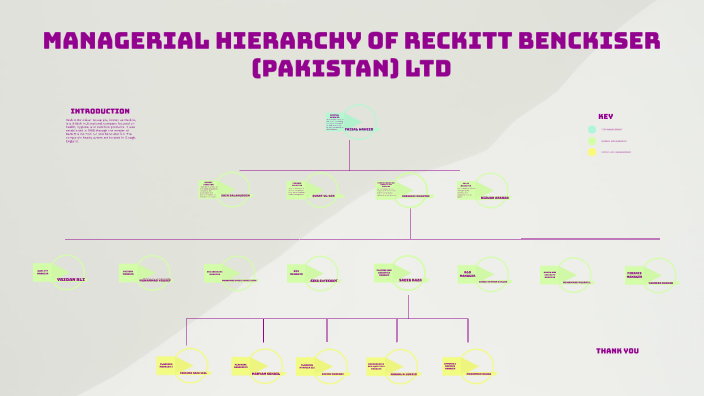 Managerial Hierarchy of Reckitt Benckiser (Pakistan) Ltd by Tehreem ...