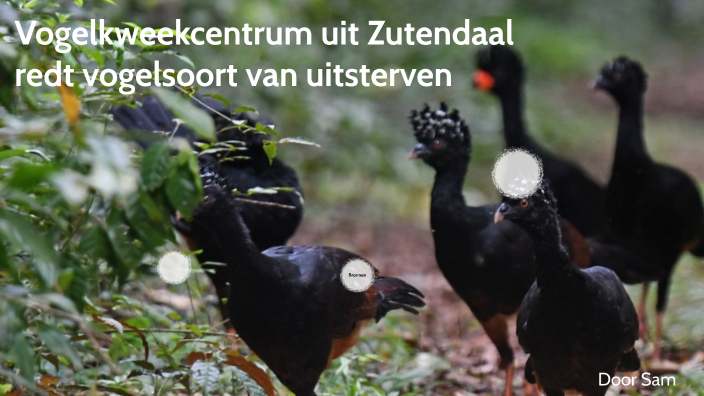 aardrijkskunde Actua 28/09 by sam seery on Prezi