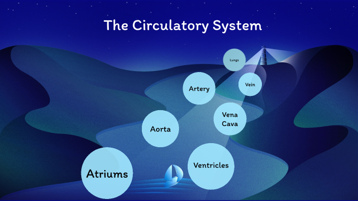 Circ. System by Kaitlyn Congoran on Prezi