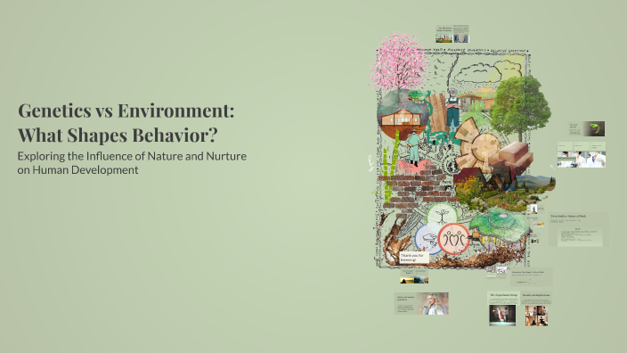 Genetics vs Environment: What Shapes Behavior? by k m on Prezi