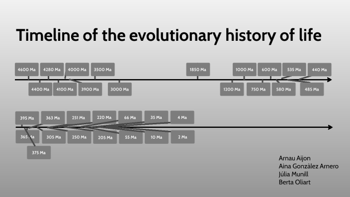 timeline cmc by Aina González Arnero on Prezi