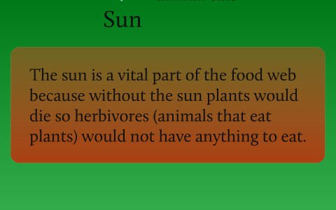 Indian Rhino Food Web by Isla Hutching-Bryant on Prezi