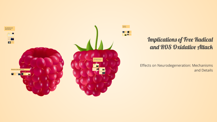Implications of Free Radical and ROS Oxidative Attack by Nada Elseady ...
