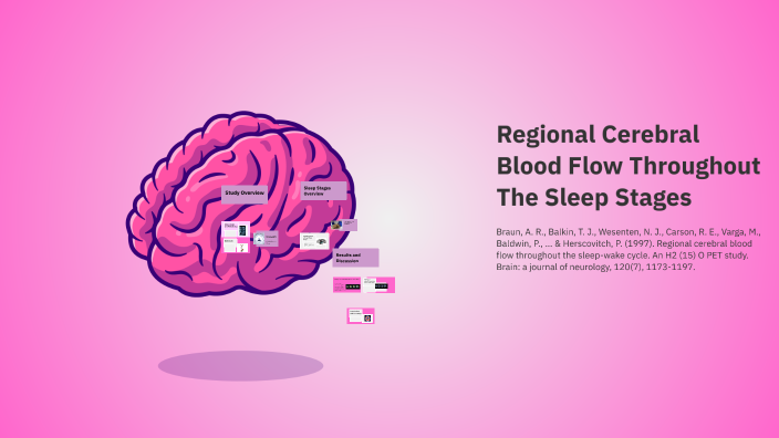 Regional Cerebral Blood Flow Throughout The Sleep Stages by Courtney ...