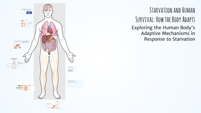 Starvation and Human Survival: How the Body Adapts by Yara Nasreddine ...