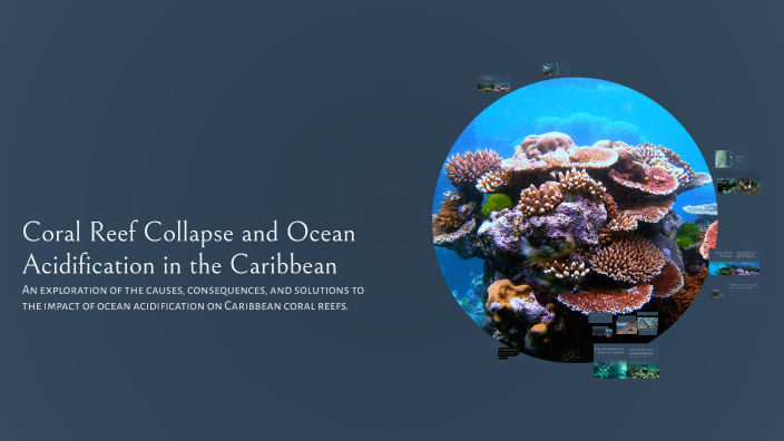 Coral Reef Collapse and Ocean Acidification in the Caribbean by Reagan ...