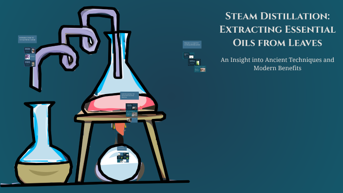 Steam Distillation: Extracting Essential Oils from Leaves by vivan ...